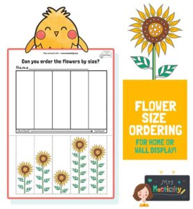 Spring Size Ordering Activity - Colour Version | Mrs Mactivity