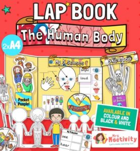 The Human Body Lap Book | Mrs Mactivity