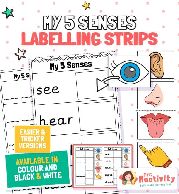 Five Senses Labelling Activity | Mrs Mactivity