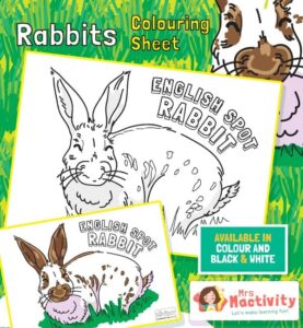 English Spot Rabbit Colouring Posters | Rabbit EYFS Resources