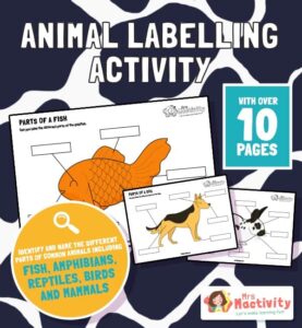 Differentiated Animal Labelling Activity | Mrs Mactivity