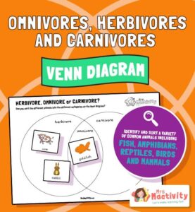Carnivore Herbivore And Omnivore Venn Diagram Sorting Activity | Mrs ...