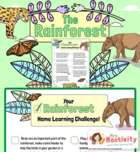 Rainforest Home Learning Challenge | Mrs Mactivity