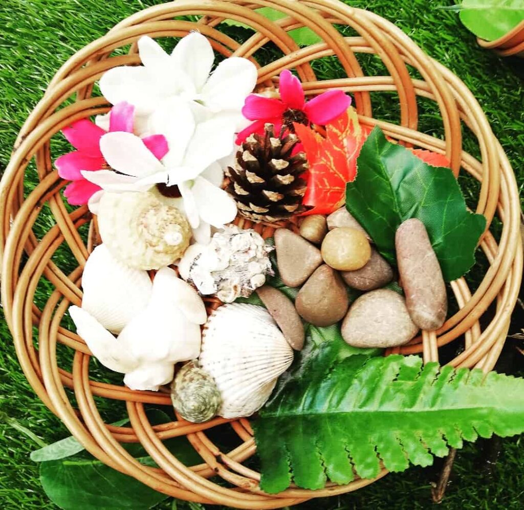 Free Reggio Emilia Resources CPD Kids Children