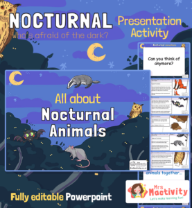 Nocturnal Animals Information PowerPoint | Nocturnal Animal Resources