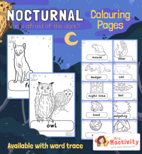 Nocturnal Animals Colouring Pages | KS1 Nocturnal Animals Resources