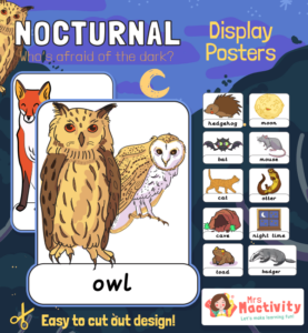 Nocturnal Animals Display Posters | Nocturnal Animal Resources