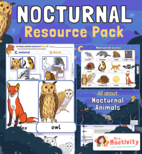 Nocturnal Animals Resources For EYFS And KS1 Science