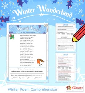 Winter Poem Reading Comprehension Activity | Winter KS2 Resources