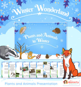 Plants And Animals In Winter Information PowerPoint | Winter EYFS KS1 ...