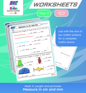 Year 3 | Measure In CM And MM Worksheets | Year 3 Length And Perimeter ...
