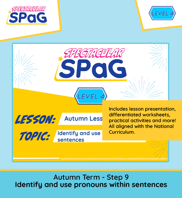 Year 4 Pronouns Worksheet – First, Second And Third Person SPaG Lesson