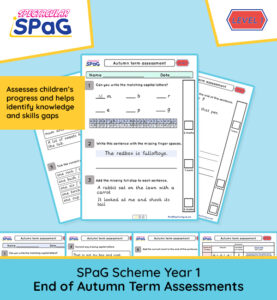 Year 1 SPaG Autumn Term Assessment – Worksheets And Small Steps