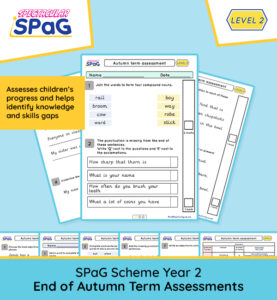 Year 2 SPaG End Of Autumn Term Assessment – Grammar And Punctuation Test