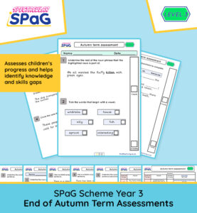 Year 3 SPaG Scheme – Grammar Worksheets, Lessons And Planning