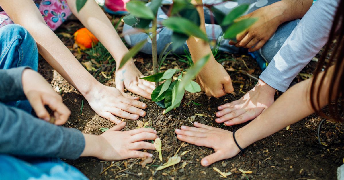 Primary Teaching Blog For EYFS, KS1 And KS2 | Mrs Mactivity