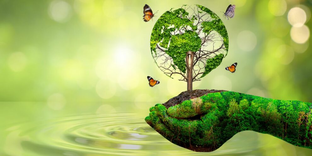 Earth Day Activities And Resources | Easy And Inspiring Ideas