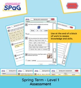 Year 1 Spring SPaG Assessment – Worksheets And Grammar Checks