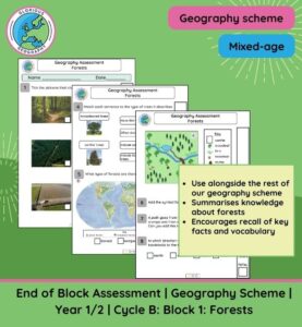 Mixed-age End Of Block Assessment For Year 1/2 Forests