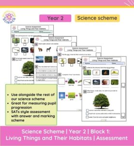 Year 2 Science – Living Things And Their Habitats | KS1 Science Lessons