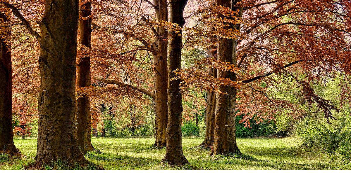 National Geography Awareness Week 2024 Resources For Teachers