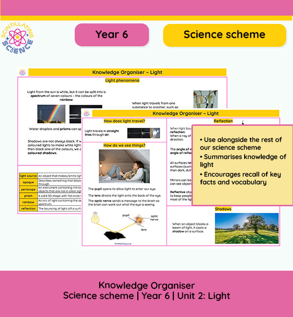 Fact File Template | Fact File Resources KS1 & KS2