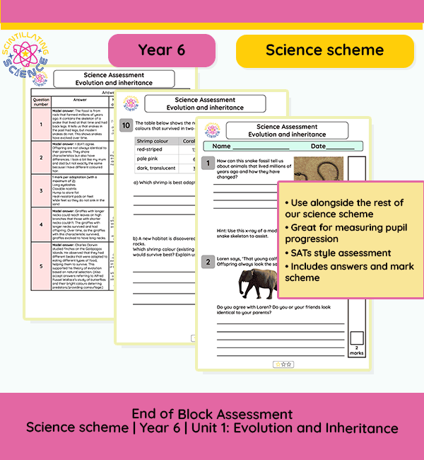 Year 6 Science Scheme Of Work | Lessons, Worksheets & Planning