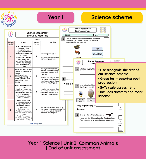 Year 1 Common Animals Science Unit – Engaging Classification Lessons