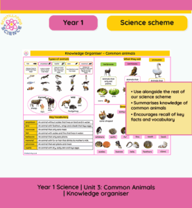 Year 1 Common Animals Science Unit – Engaging Classification Lessons