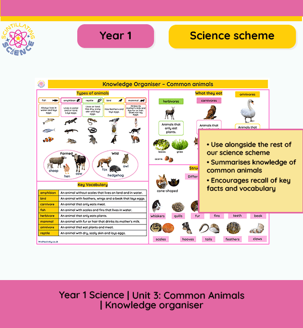 Year 1 Common Animals Science Unit – Engaging Classification Lessons