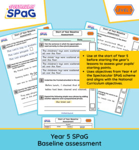 Year 5 SPaG Worksheets, Grammar Planning And Lesson Resources