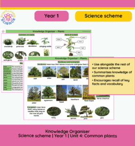 Year 1 Science Knowledge Organiser – Common Plants | Vocabulary & Visuals