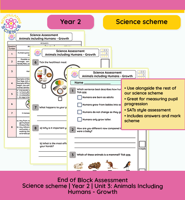 Year 2 Everyday Materials Assessment | KS1 Science